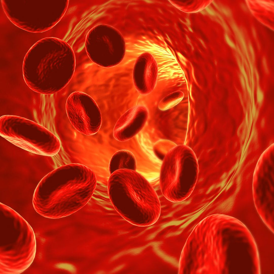 INFRAHEAL™ Targeted Infrared Light Therapy – INFRAHEAL AU